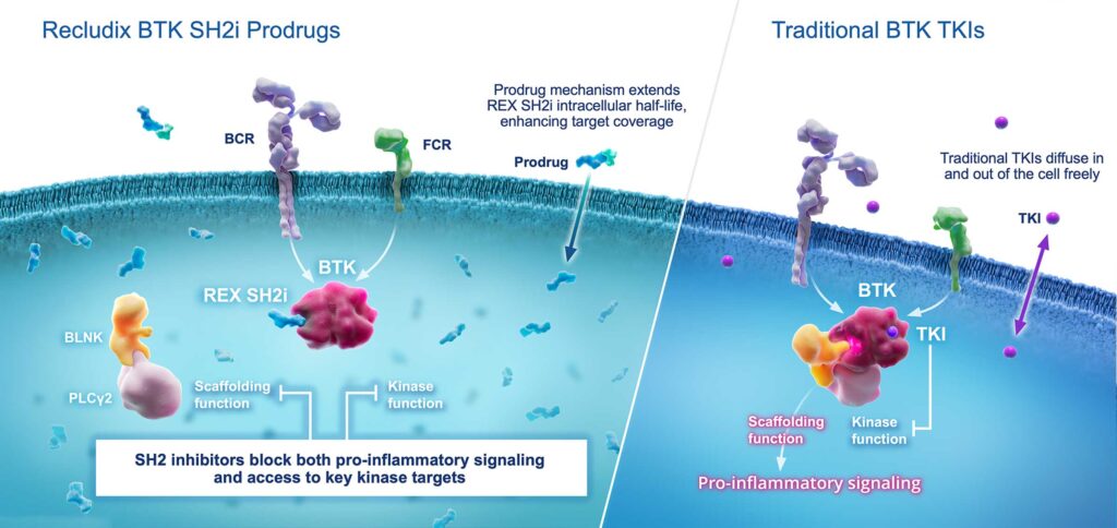 BTK - Recludix Pharma